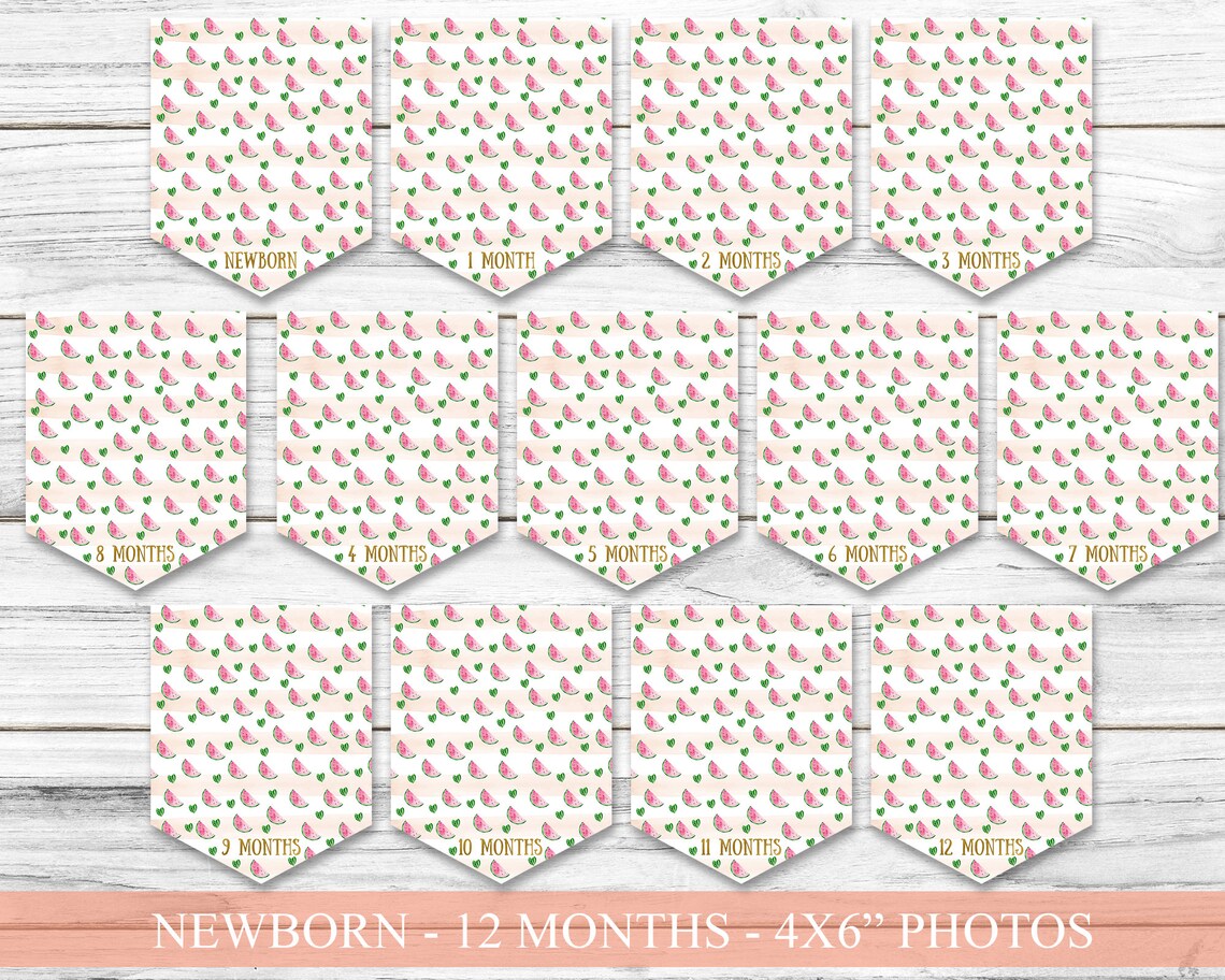 Watermelon Monthly Banner One in a Melon Monthly Banner One - Etsy