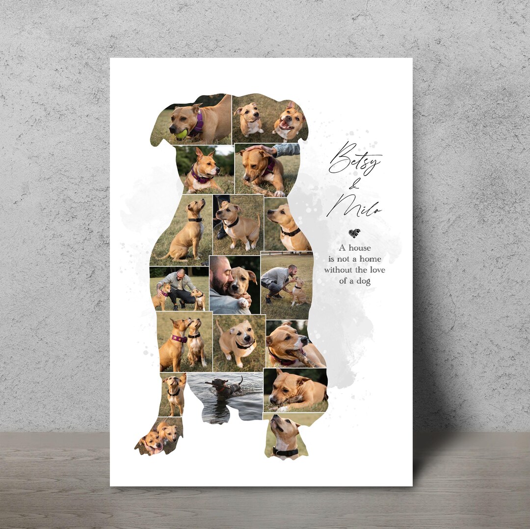 Staffordshire Bull Terrier Photo Collage Print: Personalized Pet ...