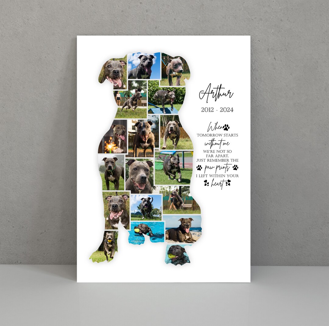 Staffordshire Bull Terrier Photo Collage Print, Staffy Poster, Pet Loss ...