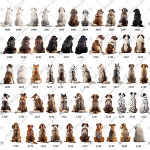 New Dogs, Dog Breeds, Please Do Not Purchase - Etsy