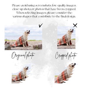 Cocker Spaniel Photo Collage Print: Personalized Pet Memorial Gift - Etsy