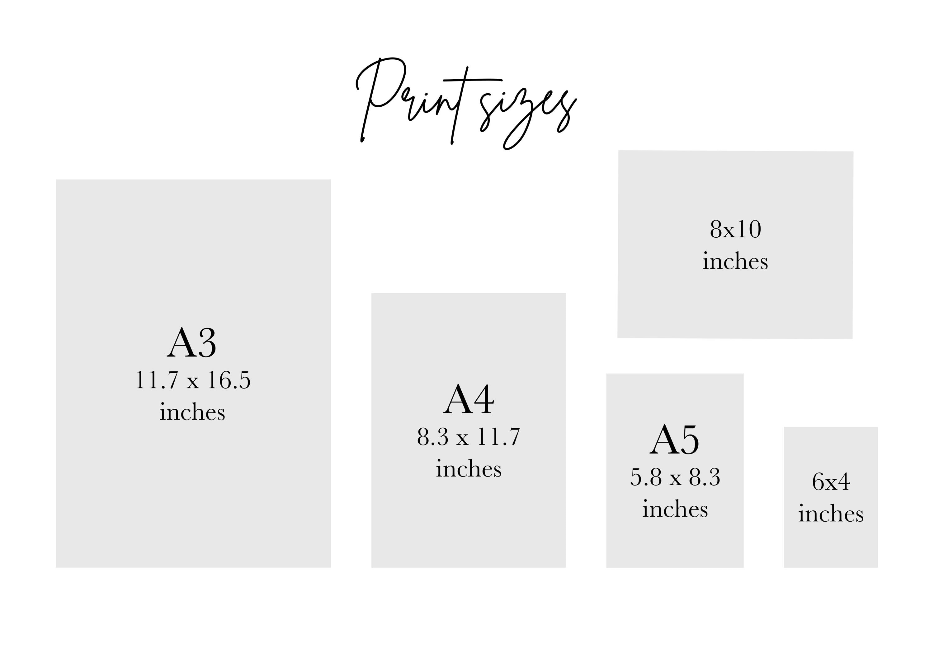 Cocker Spaniel Photo Collage Print: Personalized Pet Memorial Gift - Etsy