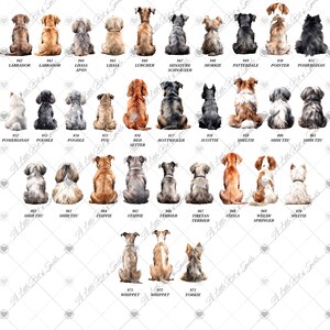 New Dogs, Dog Breeds, Please Do Not Purchase - Etsy