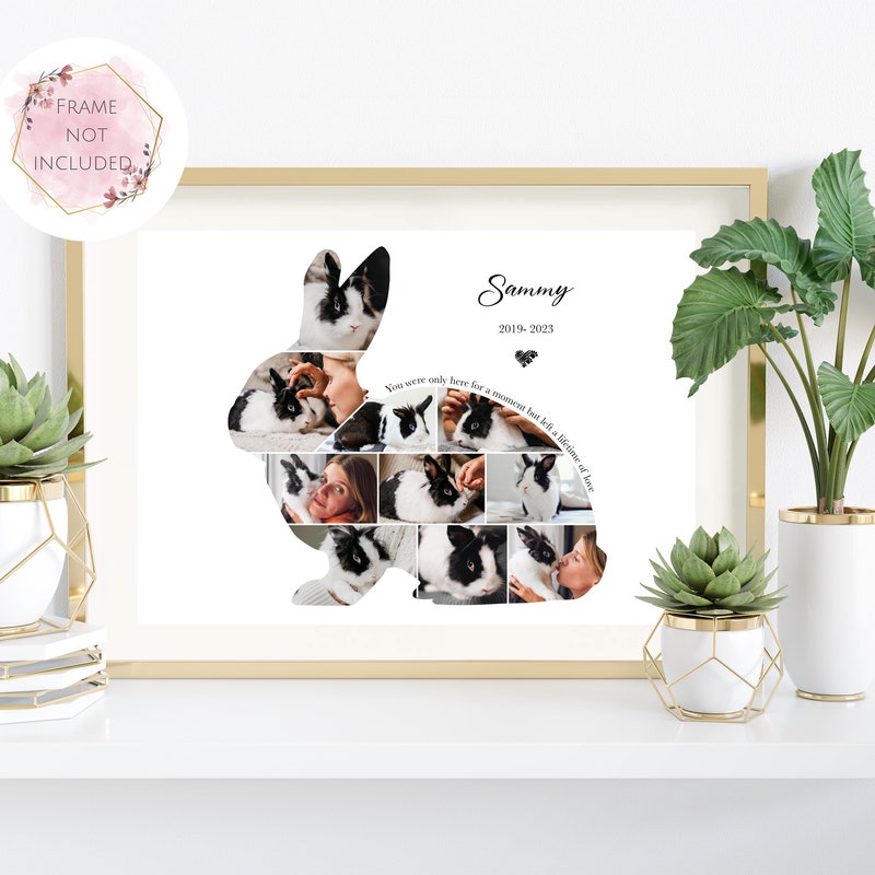 Rabbit Lover Gift - 60+ Gift Ideas for 2025