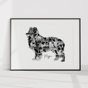 Border Collie Photo Print, Dog Collage, Pet Loss, Pet Memorial, Photo ...