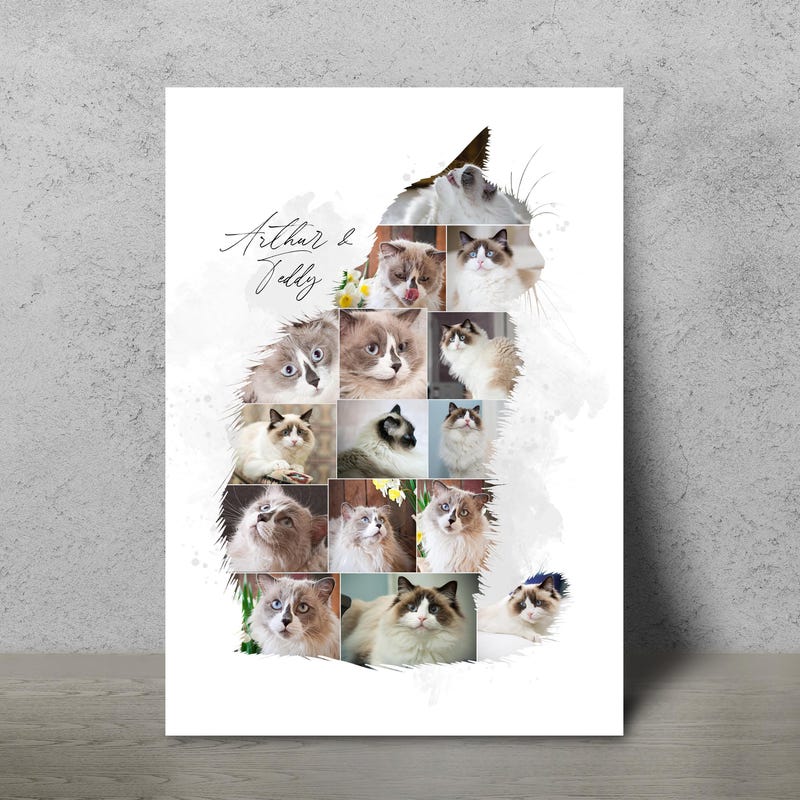 Cat Collage - Etsy