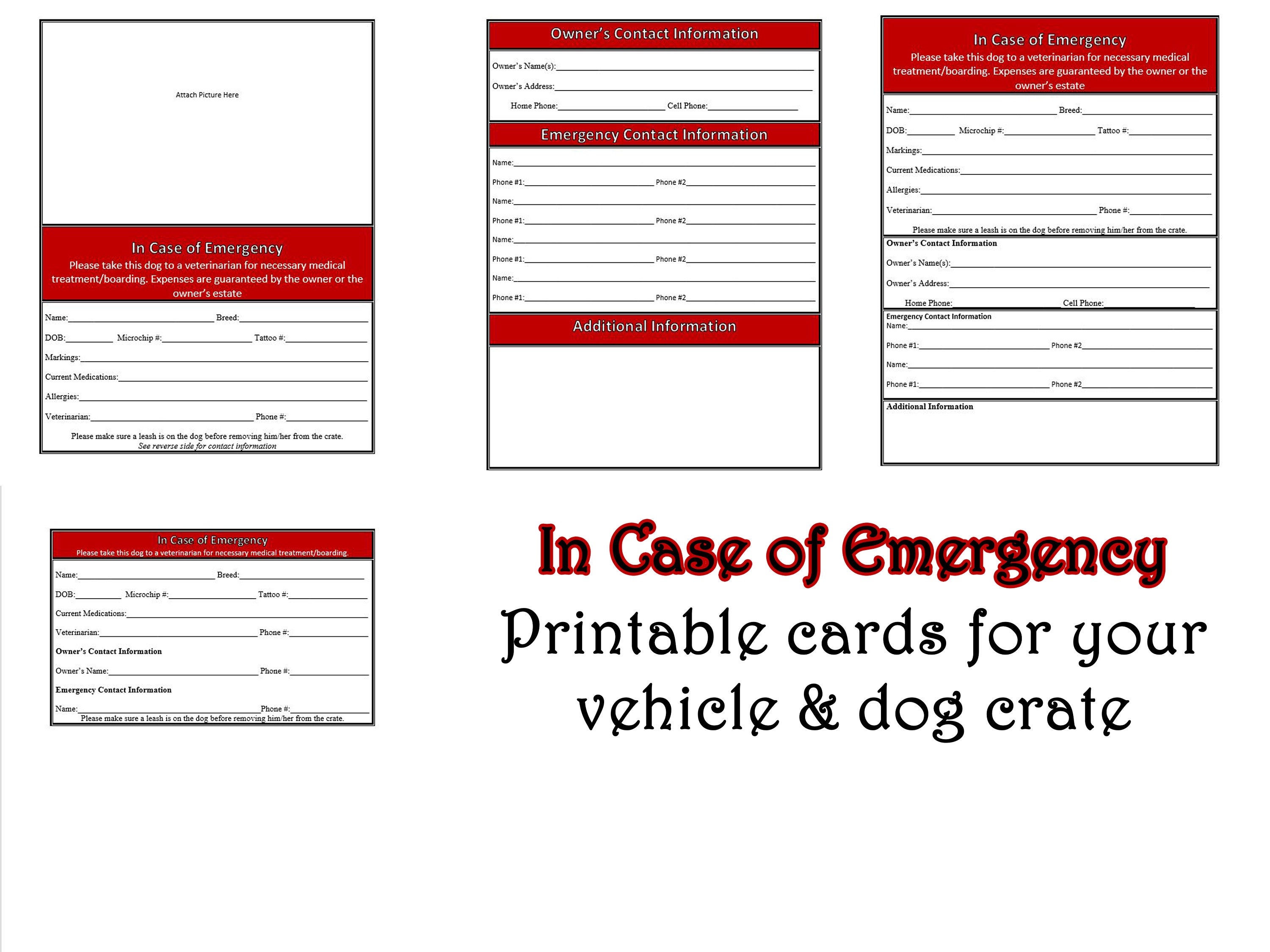 In Case of Emergency ICE Information Sheets Cards Car Dog - Etsy