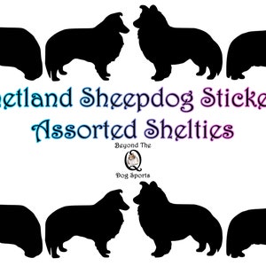 72 Shetland Sheepdog Sheltie Stickers 4 Design Choices Many Colors ...