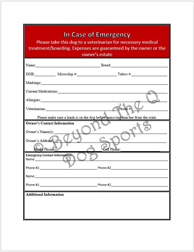 In Case of Emergency ICE Information Sheets Cards Car Dog Crate Travel ...