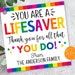 Lifesaver Gift Tags, You're A Lifesaver Tags, Neighbor, Coworker ...