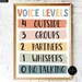 Voice Level Chart Classroom Decor, INSTANT DOWNLOAD Classroom Policies ...
