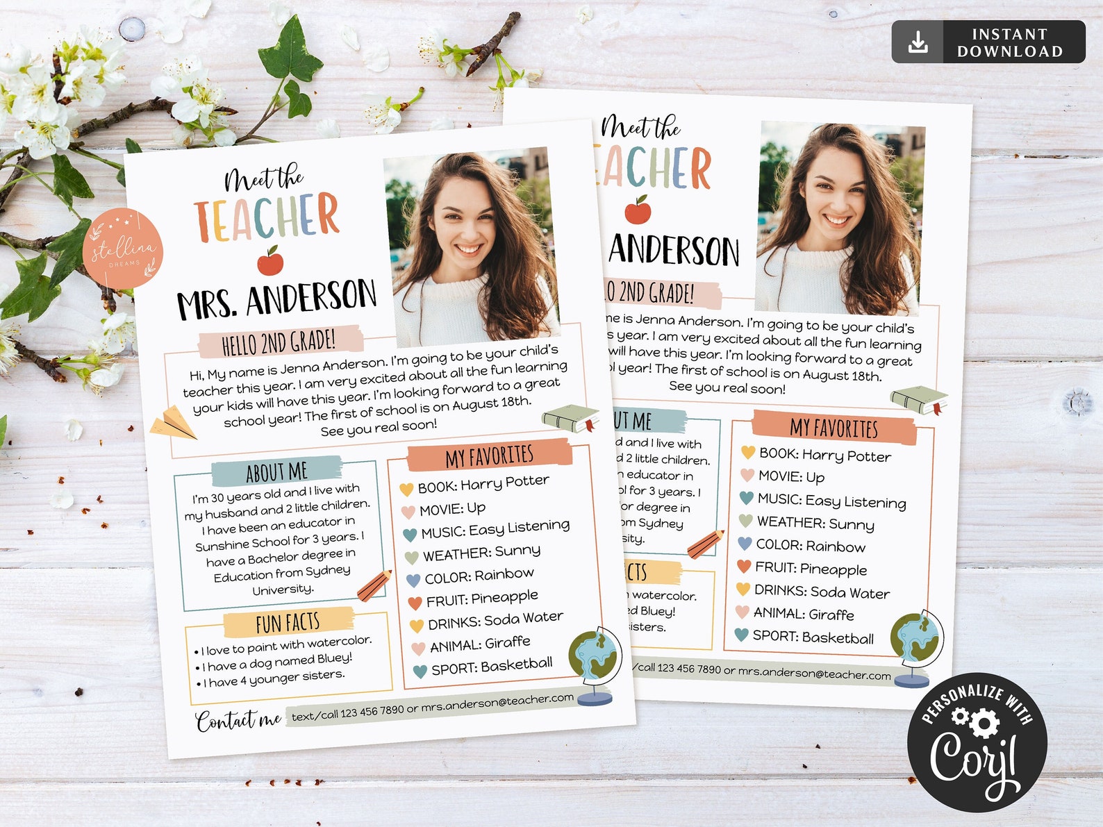 EDITABLE Meet the Teacher Back to School Printable Flyer - Etsy Australia