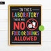 No Food or Drinks Allowed School Poster, Laboratory Poster, Science ...