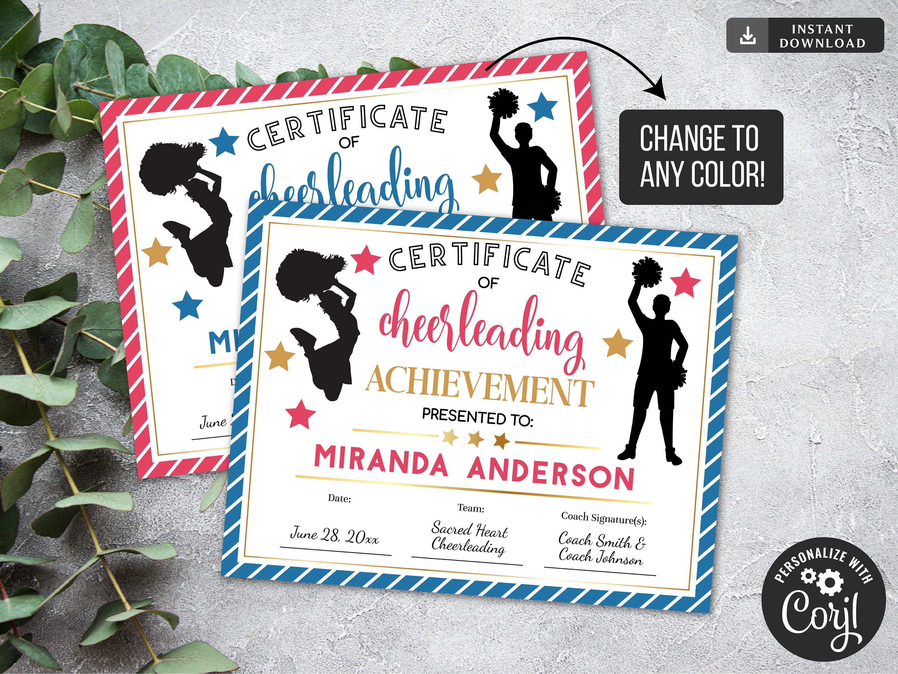 Editable Cheerleading Award Certificate: Sports Printable (digital ...