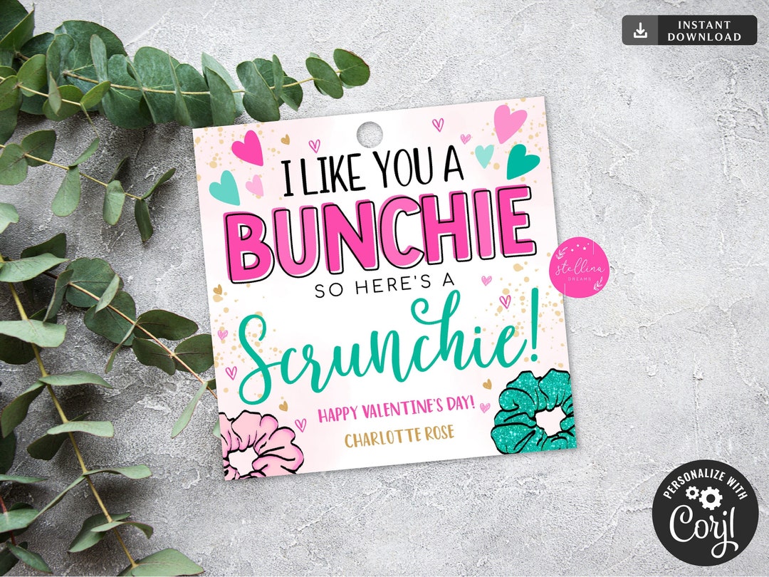 Editable Valentine Scrunchie Gift Tags, Hair Tie Girl Valentine I Like ...