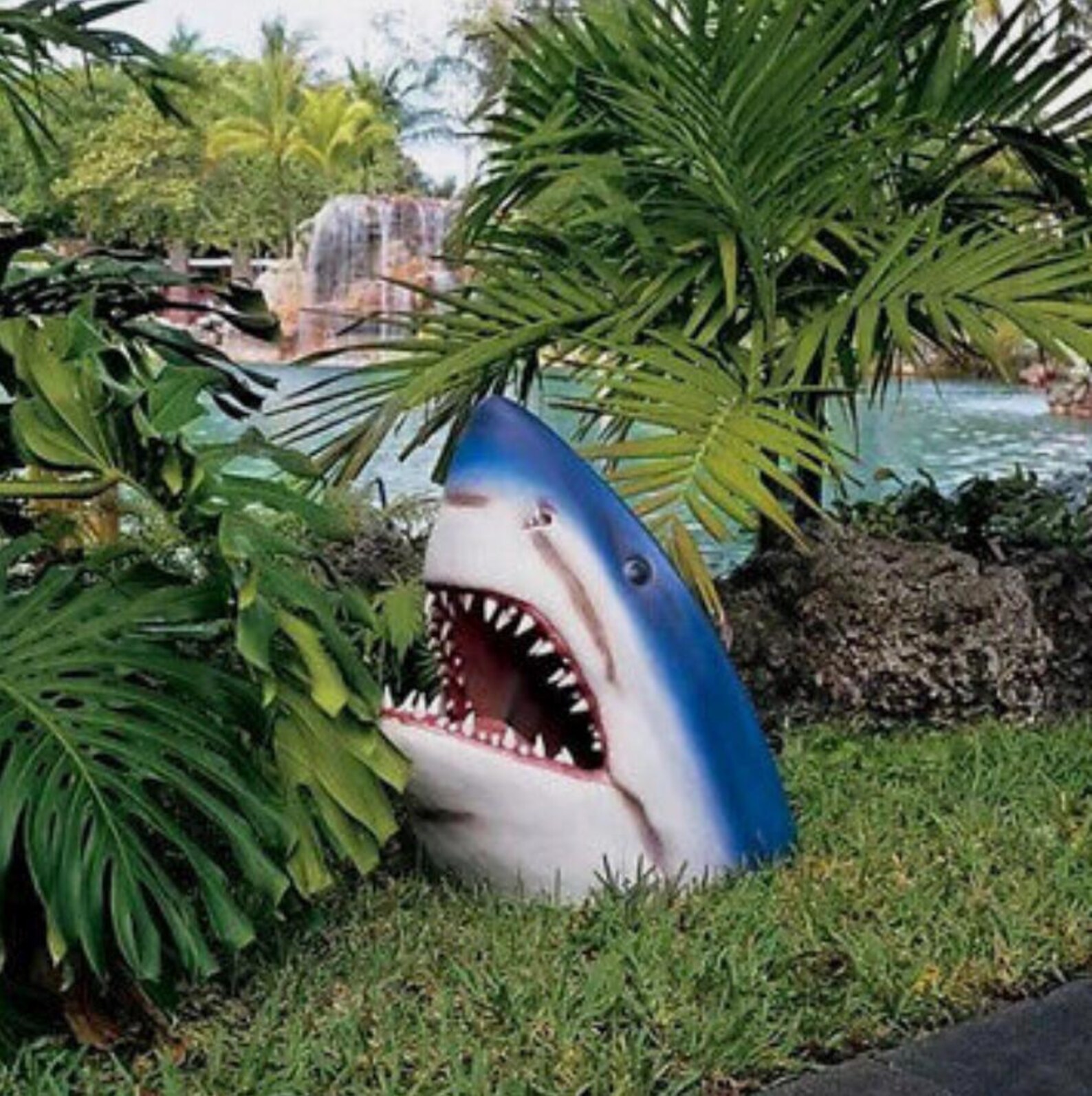 Shark Head Garden Sculpture - Etsy