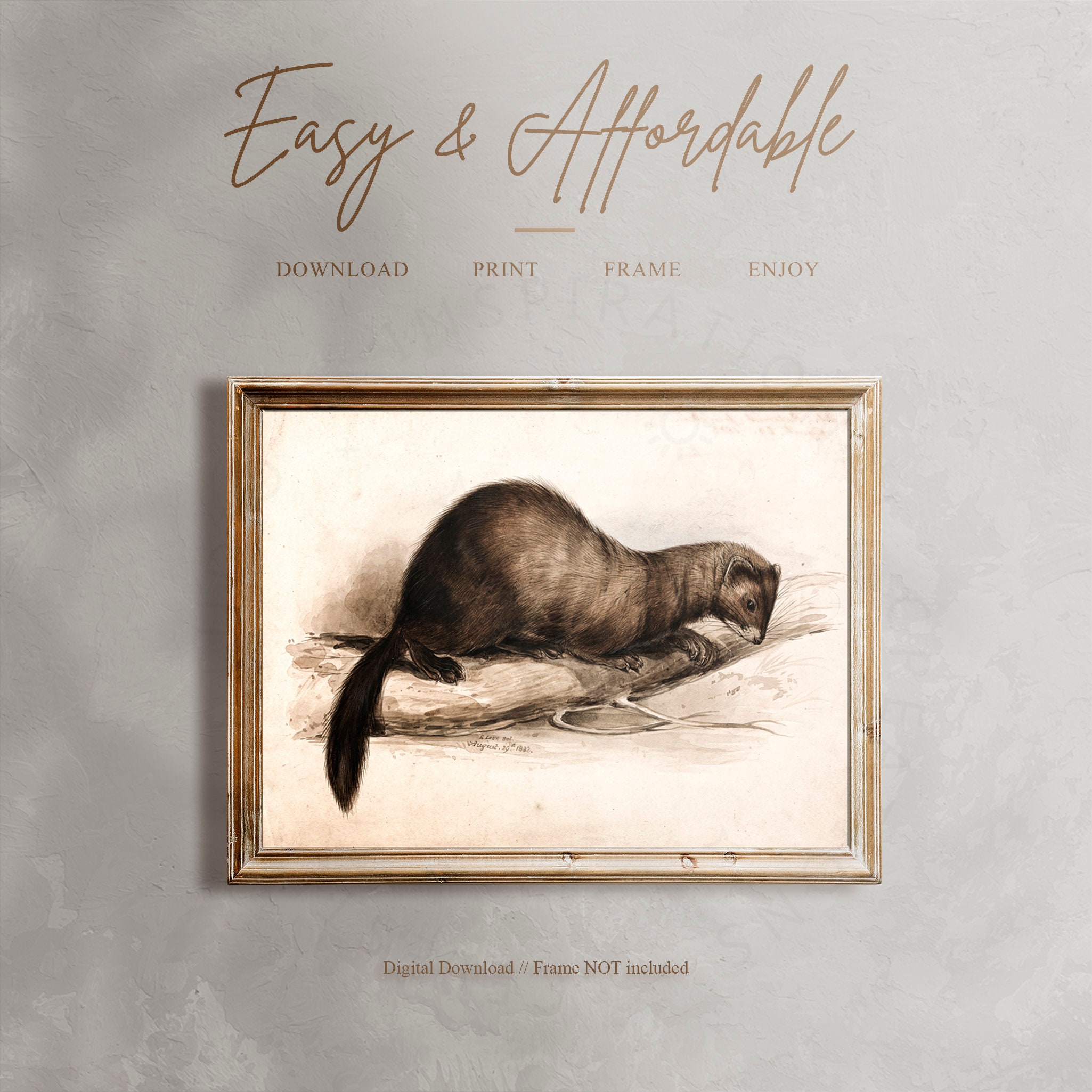 WOODLAND Animals Art Prints / WEASEL Art Print / FALL Art | Etsy