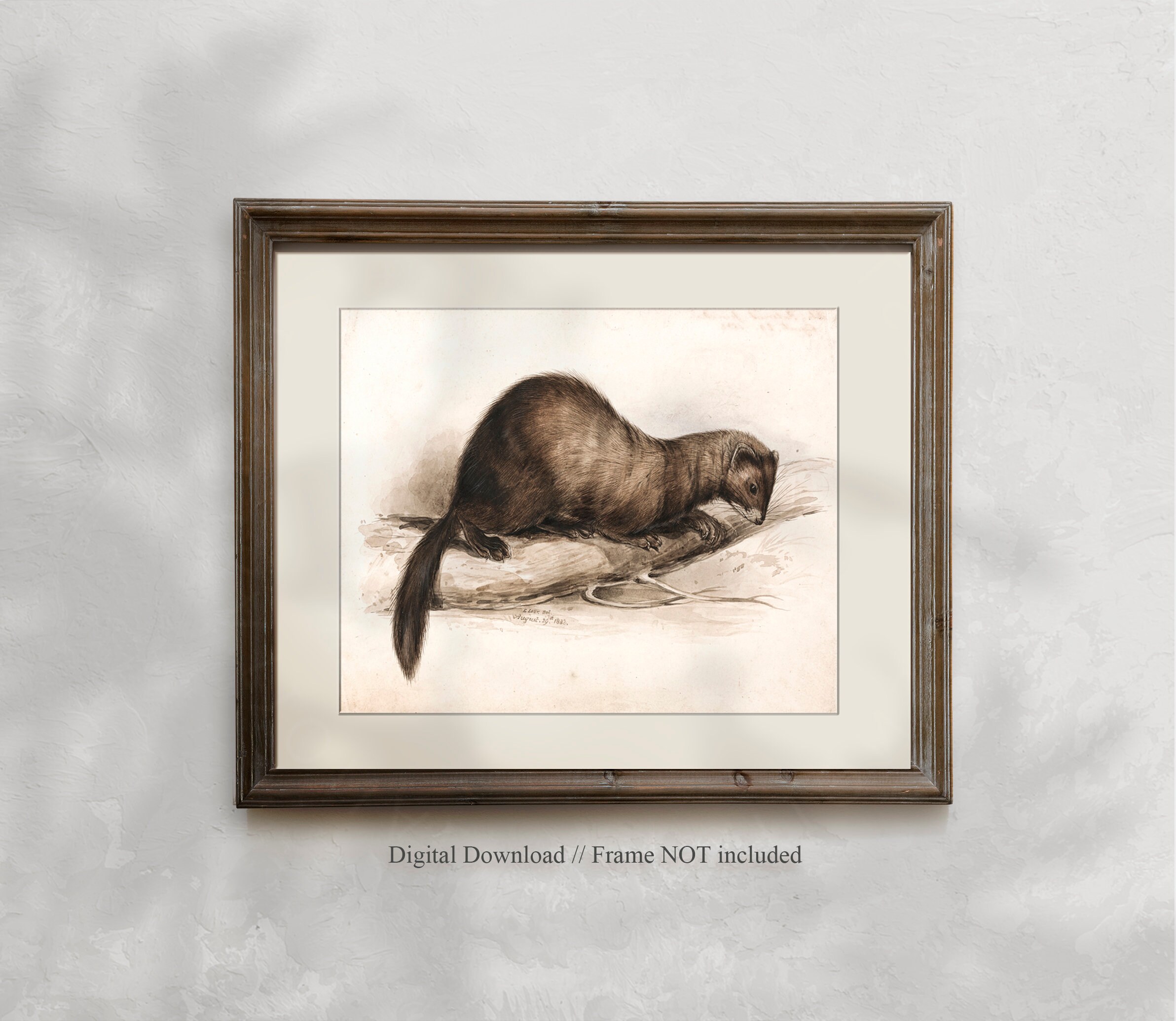 WOODLAND Animals Art Prints / WEASEL Art Print / FALL Art | Etsy