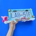 3D Printed Kirby License Plate Frame: Kawaii Car Accessory - Etsy