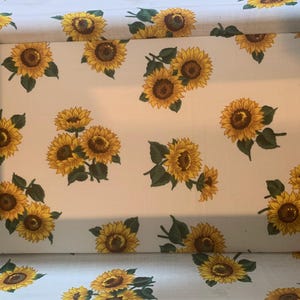 Upcycled Vintage 1960s Globester Train Travel Cosmetic Case Summer ...