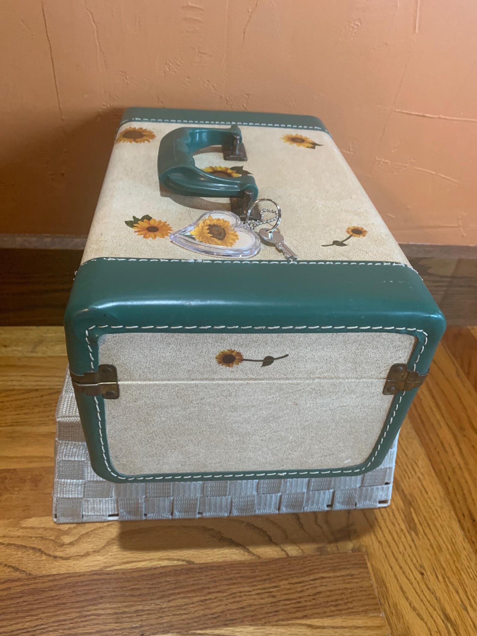 Upcycled Vintage 1960s Globester Train Travel Cosmetic Case Summer ...