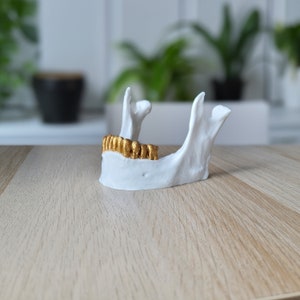 Skull Jaw Phone Holder | Jaw Bone Stand | Different Color Options - Etsy