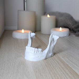 Skull Jaw Phone Holder Jaw Bone Stand Different Color Options - Etsy