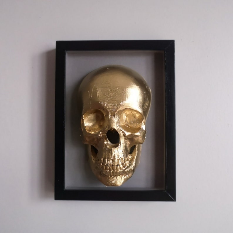 3D Skull Decoration Box Frame Customizable - Etsy