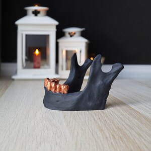 Skull Jaw Phone Holder | Jaw Bone Stand | Different Color Options - Etsy