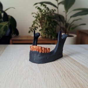 Skull Jaw Phone Holder | Jaw Bone Stand | Different Color Options - Etsy