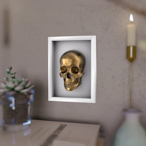 3D Skull Decoration Box Frame Customizable - Etsy