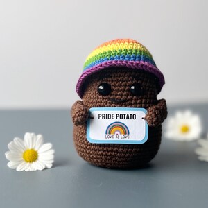 Pride Potato Crochet Pattern, Amigurumi Potato, Emotional Support ...