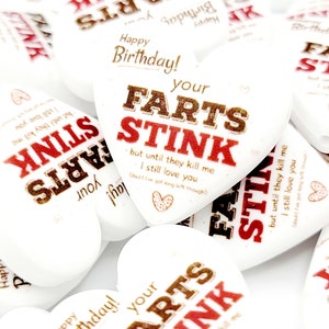 SET of 2, Birthday Heart Focal Print Silicone Bead, Farts Stink Funny ...