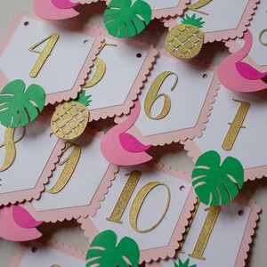 Pineapple Flamingo First Birthday Milestone Photo Garland/flamingo ...