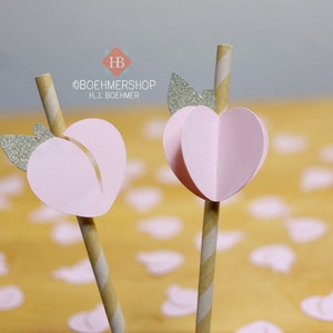 Peach Straw Toppers / Georgia Peach Straw Toppers/ Just Peachy Straw ...