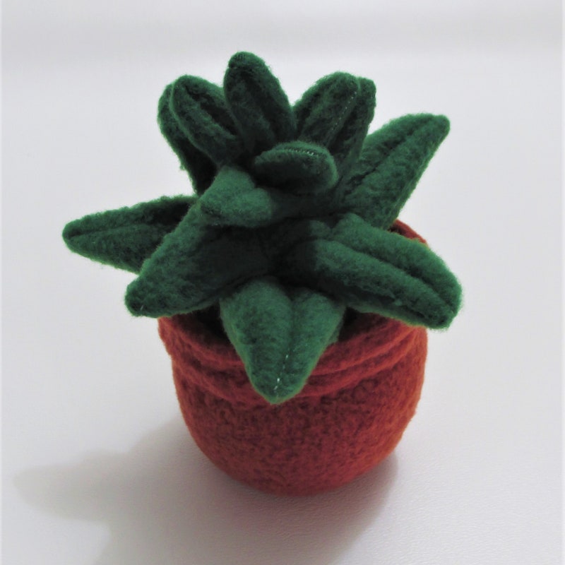 Plant Plush - Etsy