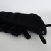 Giant African Millipede Plush - Etsy