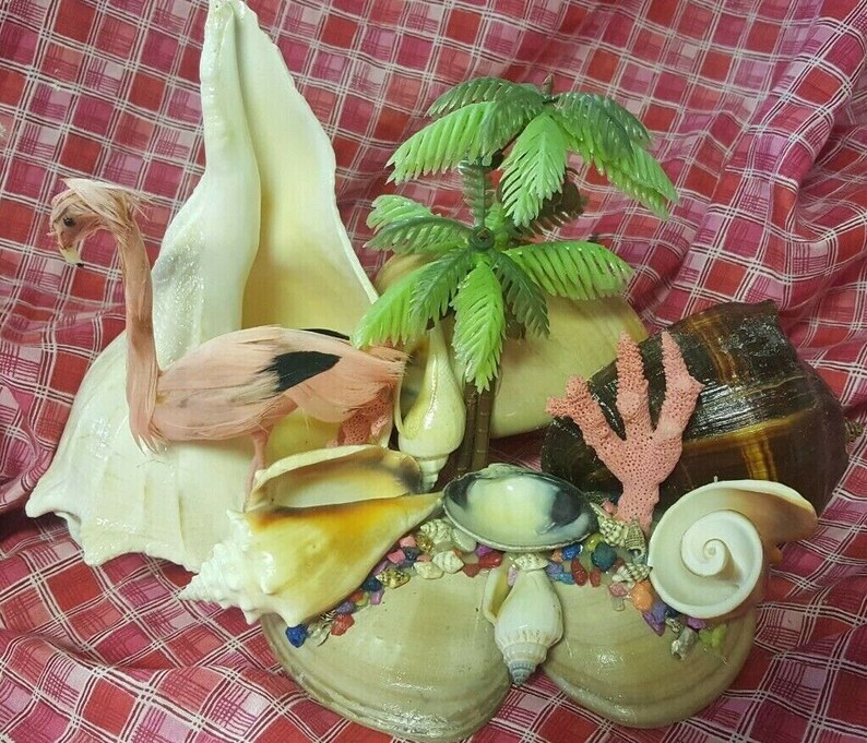 Natural Sea Shell Centerpiece Vintage ~ Conch, Coral & Flamingo ...