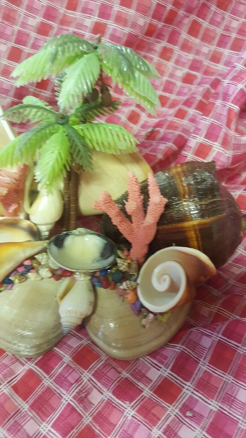 Natural Sea Shell Centerpiece Vintage ~ Conch, Coral & Flamingo ...