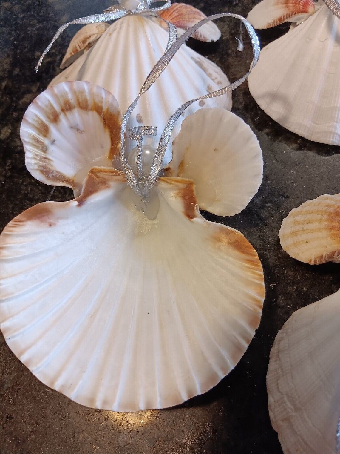 Lot of 4 Larger Shell Angel Ornaments, Hand Made White Beach Angels - Etsy