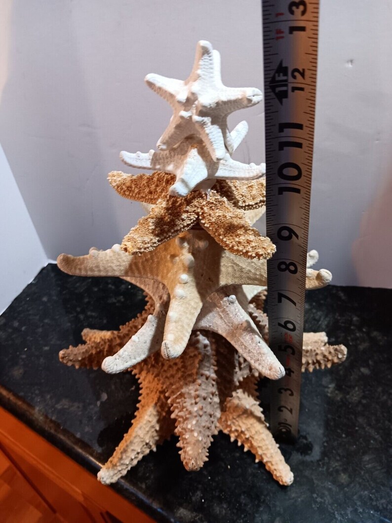Large Knobby Star Fish Christmas Tree on Cedar Block - Etsy