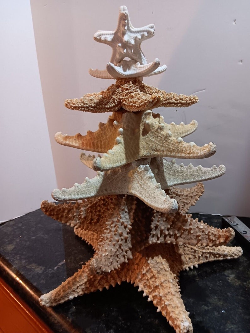 Large Knobby Star Fish Christmas Tree on Cedar Block - Etsy