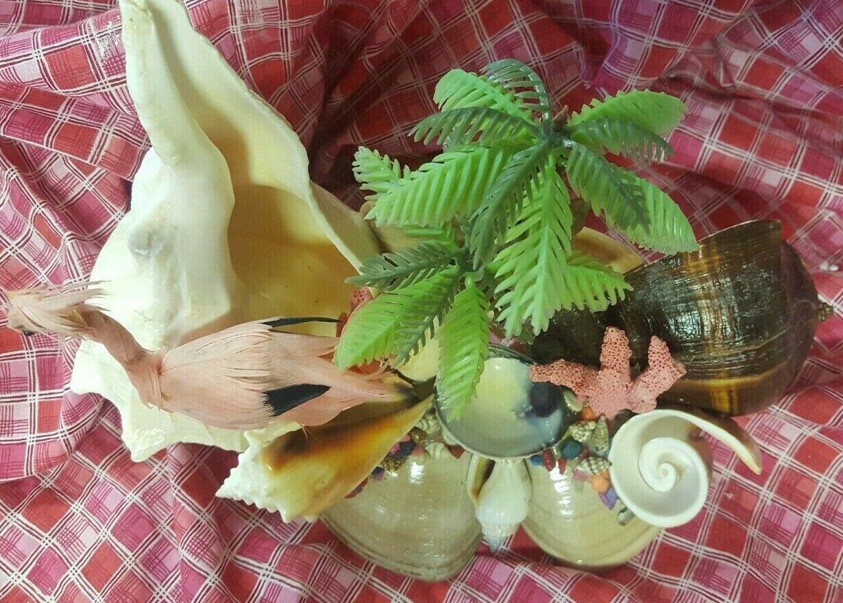 Natural Sea Shell Centerpiece Vintage ~ Conch, Coral & Flamingo ...