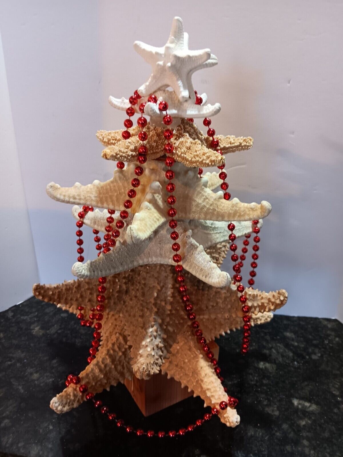 Large Knobby Star Fish Christmas Tree on Cedar Block - Etsy