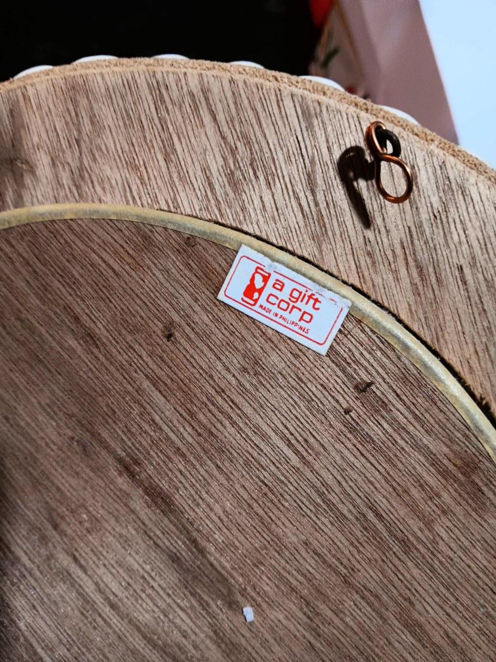 Vintage Butterfly Taxidermy in Round Sea Shell Frame, Entomology Art - Etsy