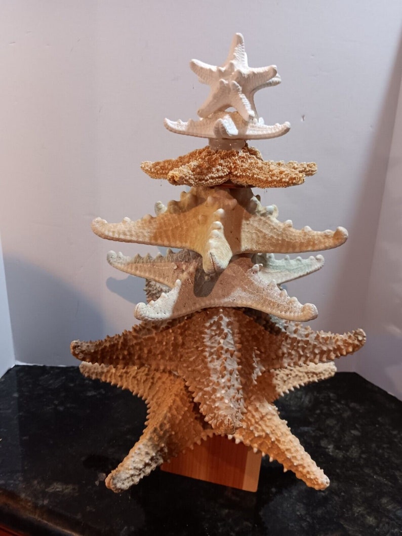 Large Knobby Star Fish Christmas Tree on Cedar Block - Etsy