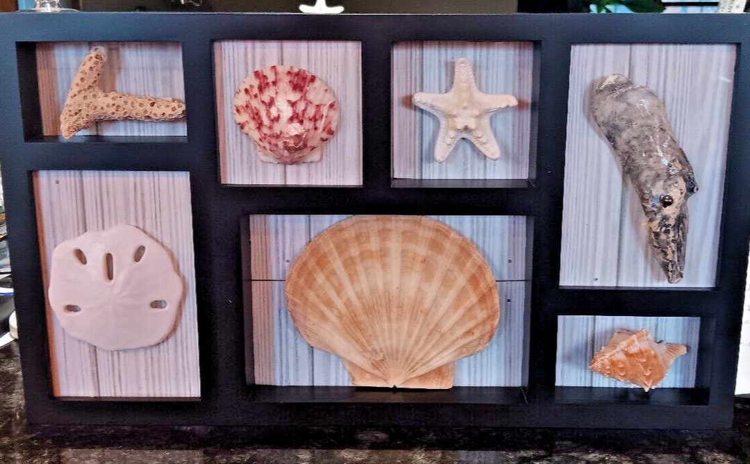 Seashell Shadow Box Ocean Art Decor Real & Faux Shells Hand Crafted - Etsy