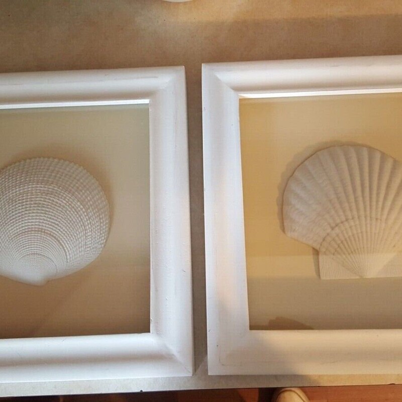 Shell Art Shadow Box - Etsy