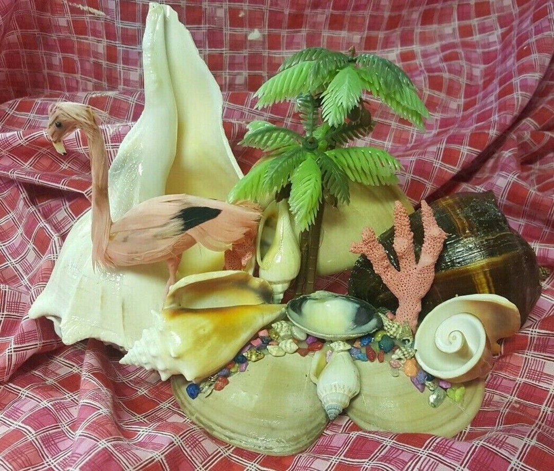 Natural Sea Shell Centerpiece Vintage ~ Conch, Coral & Flamingo ...