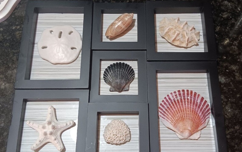 Seashell Shadow Box Ocean Art Decor Real & Faux Shells Hanging or ...